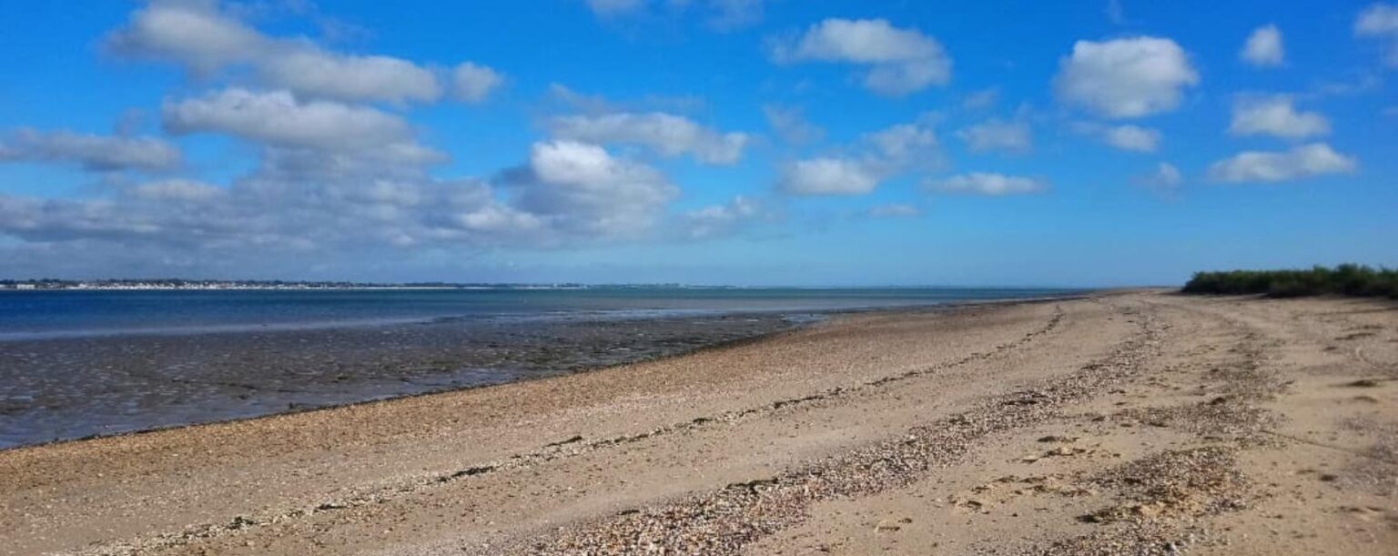 Beach Life - Visit Maldon District